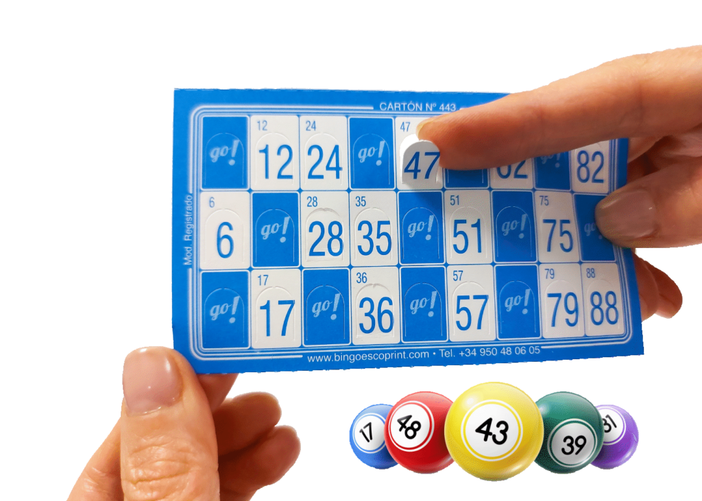serie-standard-banner – Bingo Escoprint